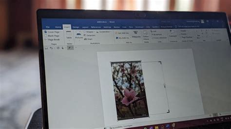 Best Ways To Crop A Picture In Word Document Circle Crop Included TechWiser