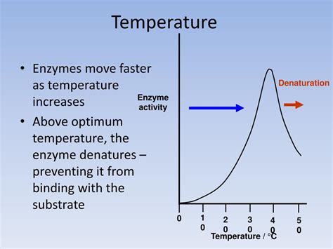 Ppt Enzymes Powerpoint Presentation Free Download Id2232908
