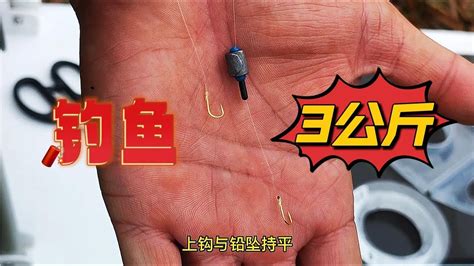 改良后的子线加铅钓法拉力值提高6倍能轻松提起3公斤重量 YouTube