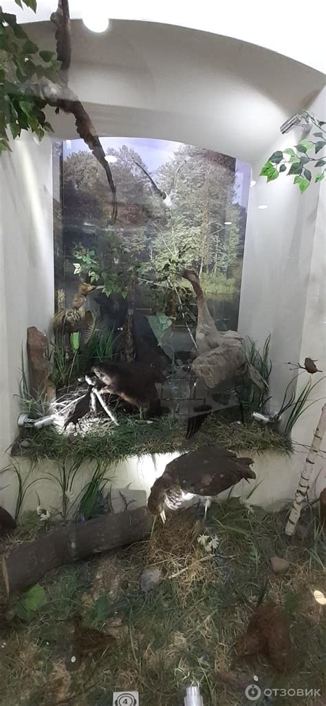 Отзыв о Новокузнецкий краеведческий музей Россия Новокузнецк Один из крупных в области и