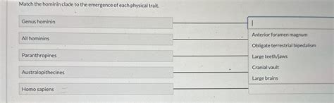 Solved Match The Hominin Clade To The Emergence Of Each