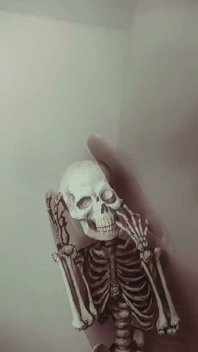 The Skleton Youtube