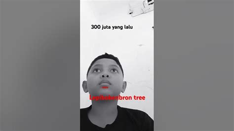 Epidodendron Warning Youtube