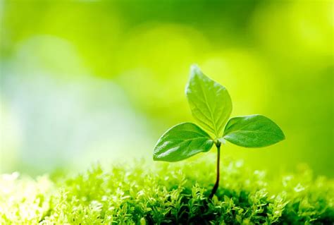 《新时代的中国绿色发展》白皮书：绿色低碳发展新理念、新指导 江苏良友正大股份有限公司