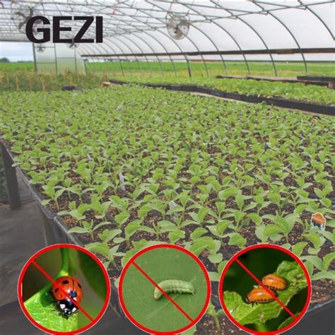Uv 80 Mesh Anti Insect Net Agriculture Netting China Mosquito Net And