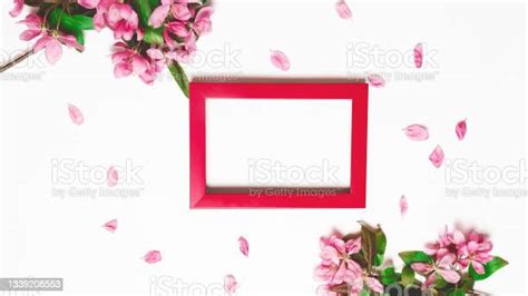 복사 공간의 흰색 배경에 사과 꽃의 가지로 장식 된 컬러 프레임 평평한 수평 사진 프레임과 사과 꽃 0명에 대한 스톡 사진 및