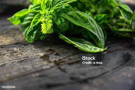 바질 육즙 녹색 꽃잎 신선한 향기로운 조미료 신선한 식사 간식 에 테이블 복사 공간 음식 배경 소박한 0명에 대한 스톡 사진 및 기타 이미지 Istock