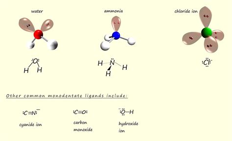 Types Of Ligands And Complexes