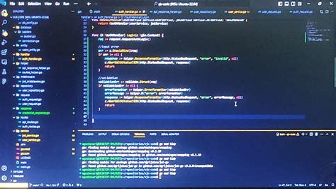 Golang Backend Developer