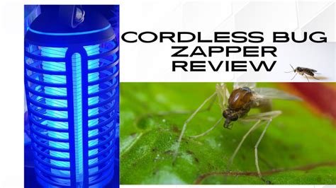 Led Light Bug Zapper Review How And Review