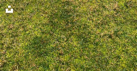 Foto Zum Thema Ein Buntes Windrad Auf Einem Grasbewachsenen Feld