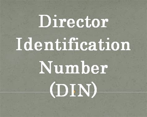 Director Identification Number DIN Application And Status Chack Mca Gov In PAN