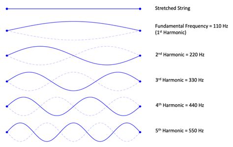 Difference Between Frequency And Hertz