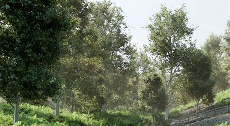 tutorial randomising procedural objects
