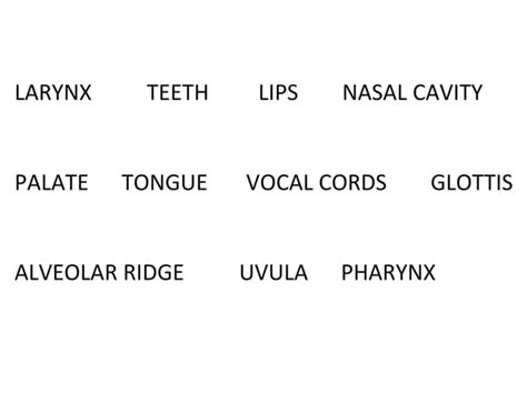 Speech Organs And Sounds They Produce Ppt