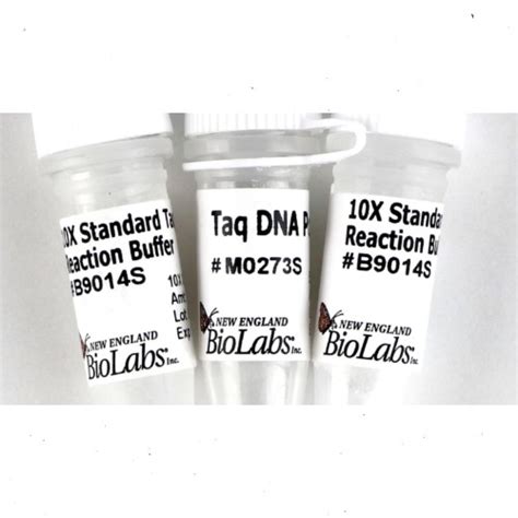 Taq Dna Polymerase With Standard Taq Buffer Neb Labmal