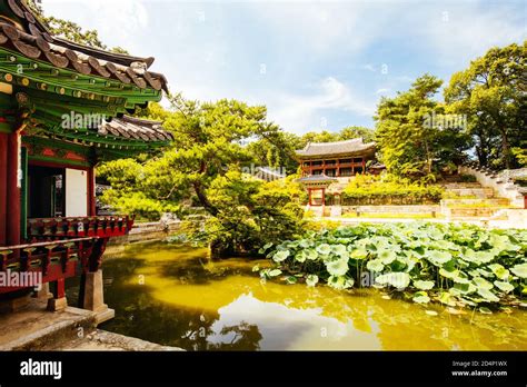 Palace Garden South Korea Tips For Taking The Huwon Secret Garden Tour