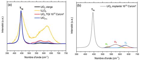 En A Spectres Raman Dun Uo2 Vierge Dun Uo2 Implanté En Cs à Une Download Scientific
