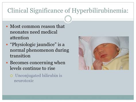 Neonatal Hyperbilirubinemia Ppt Download