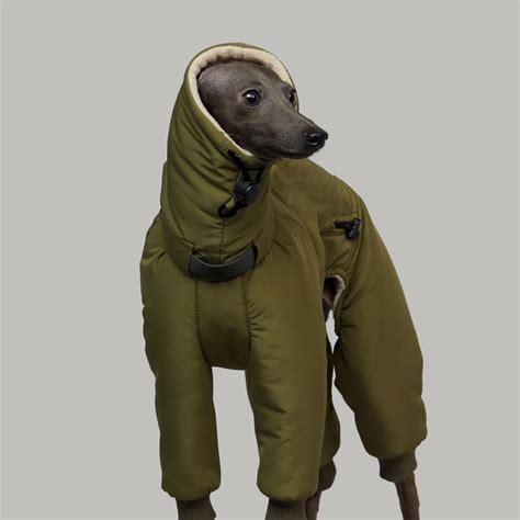 Manteau chien imperméable chaud et résistant