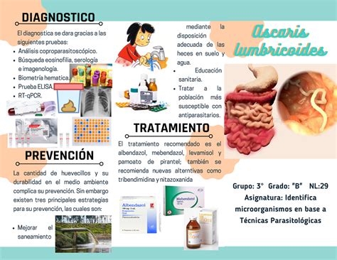 Ascaris Ppt