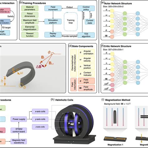Components And Procedures Of The Rl Control System A Interaction