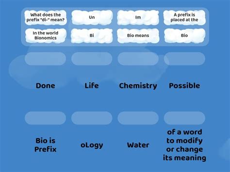 Prefixes Bio Match Up