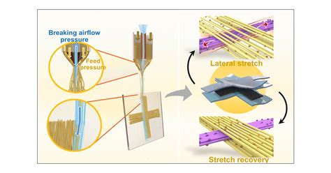 Highly Sensitive Anisotropic Multidirectional Strain Sensor Through Direct Write Micro 3d