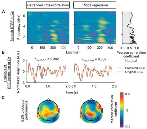 A Novel Computationally Efficient Approach For Exploring Neural