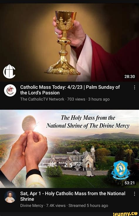 Catholic Mass Today I Palm Sunday Of The Lords Passion The Catholic