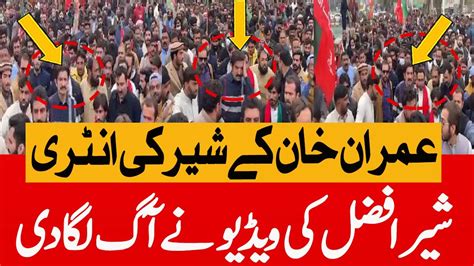Imran Khan Lion Sher Afzal Entry In Pti Protest Sher Afzal Protest