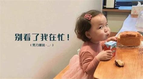 做视频剪辑，必备的工具有这36个，赶紧收藏一波 知乎