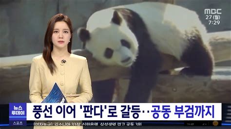 정다희 아나운서 갤러리