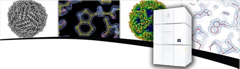 Jeol Usa Blog How Cryo Em Differs From Tem