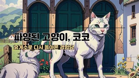 [신바람 유튜브 소설] 파양된 고양이 코코 다시 휴게소로 돌아온 경험담 두번째 이야기 Youtube