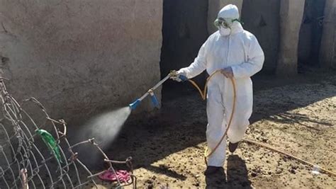 لە كەركوك ژنێک بە تای خوێنبەربون گیانی لەدەستدا