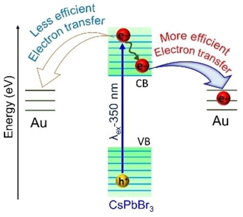 Unveiling The Ultrafast Electron Transfer Dynamics In Epitaxial Dodecahedron Cspbbr3au