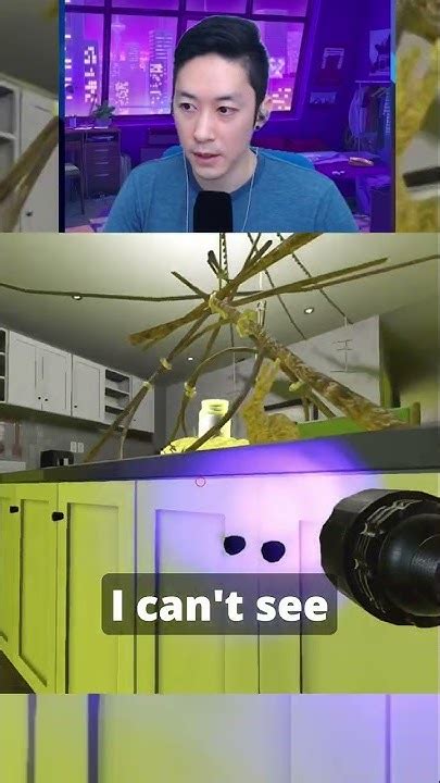 What Is This Model Phasmophobia Youtube