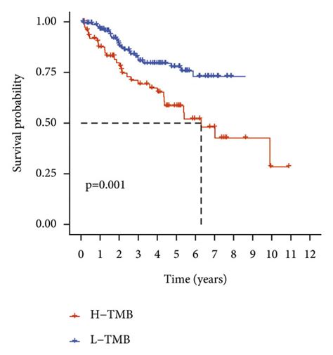 Correlation Analysis Of Prognostic Signature With TMB A The Download Scientific Diagram