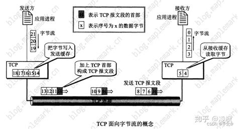Tcp Csdn