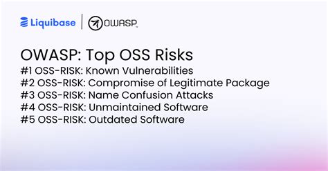 Open Source Security Risks Owasps Top 5 Oss Vulnerabilities Guide