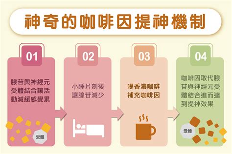 「喝咖啡提神」要看時間！醫曝「關鍵1件事」：喝錯反而更想睡 Ettoday健康雲 Ettoday新聞雲