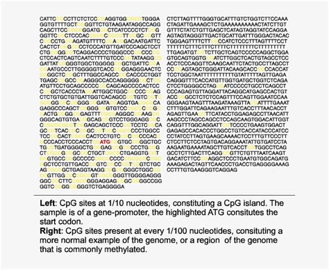 Illustration Of Nucleotide Base Sequence Showing Mulitple 842x595 Png