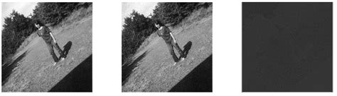 Convolutional Neural Network How To Train CNN For Noise Removal From Images Using Matlab