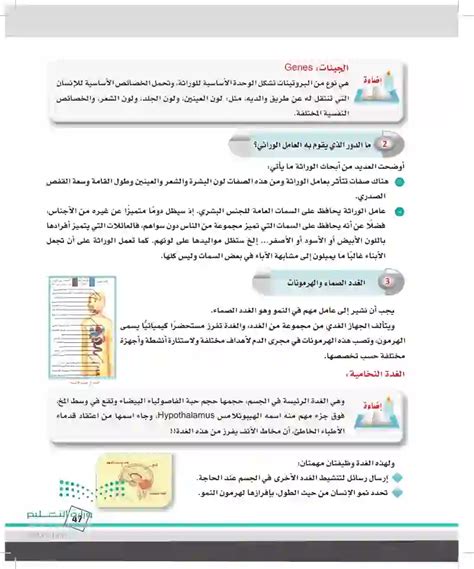 الغدد الصماء والهرمونات عين 2024 العوامل المؤثرة في النمو