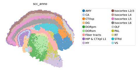 2combined Visualization Of Domains And Segmented Cells Spateo
