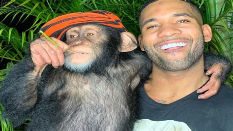 El Video De Un Chimpancé Usando El Móvil Con Habilidades Que