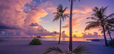 Premium Photo Silhouette Palm Trees Beautiful Nature Sunset On