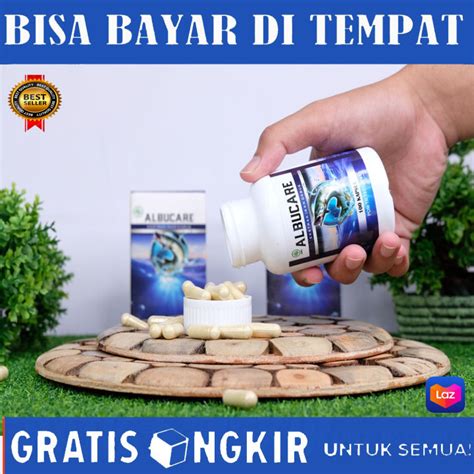 Albucare Ekstrak Ikan Gabus 100 Herbal Obat Herbal Untuk Luka Pasca