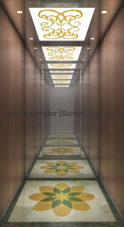 Luxury Villa Elevator Lift Passenger Elevator Elevator And Passenger Elevator